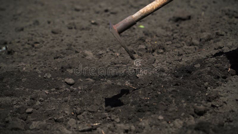 Land Cultivation with Hand Tools Stock Photo - Image of growth, ecology ...