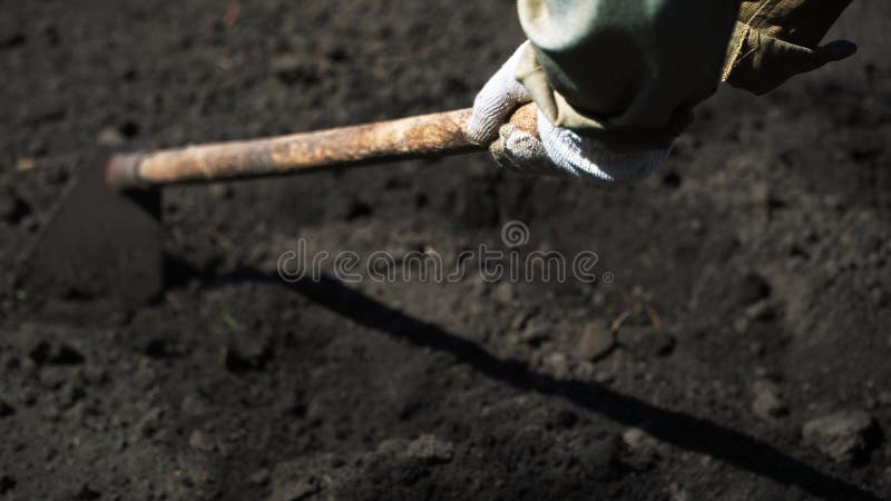 Land Cultivation with Hand Tools Stock Photo - Image of caucasian ...