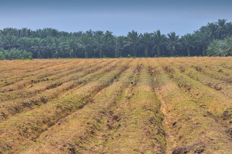 Land Cultivation Series 1 Picture. Image: 5392649