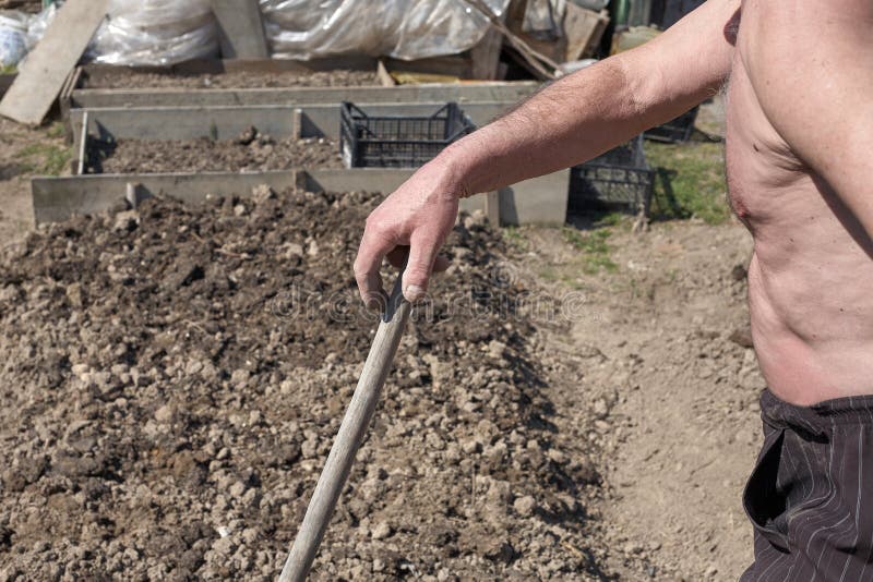 Land Cultivation Using a Hoe. a Man Holds a Hoe in His Hands Stock ...