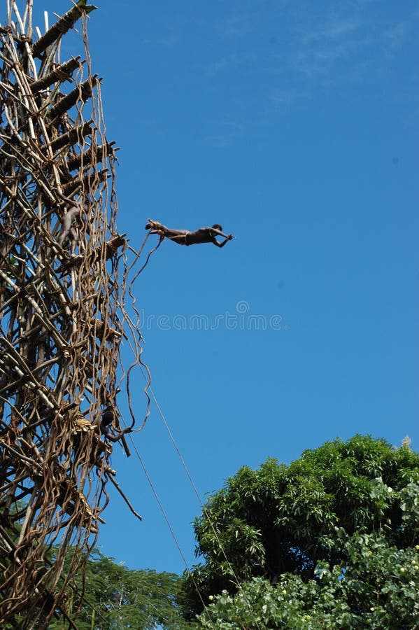 Land Diving. editorial photo. Image of eight, practice - 21752146