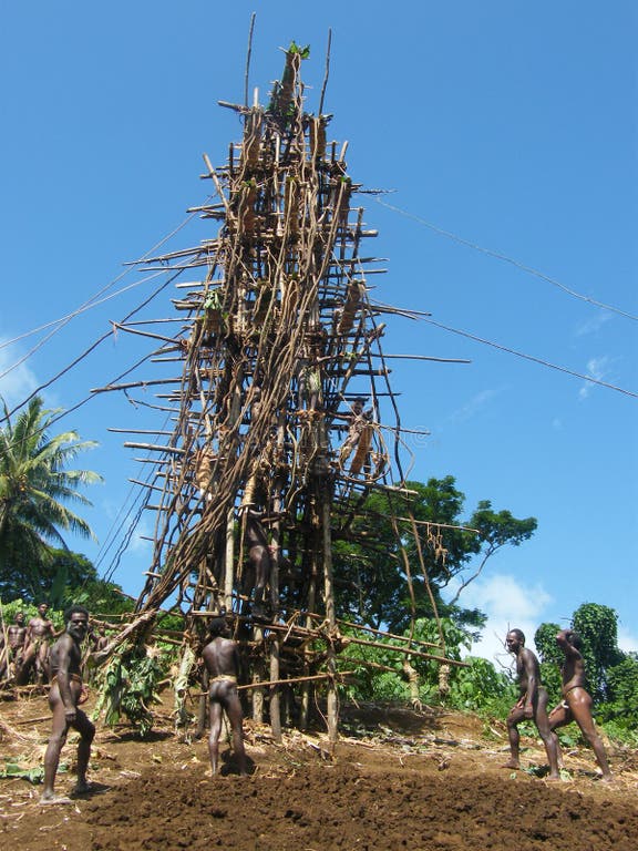 Land Diving Ceremony editorial stock photo. Image of ceremonial - 19932333