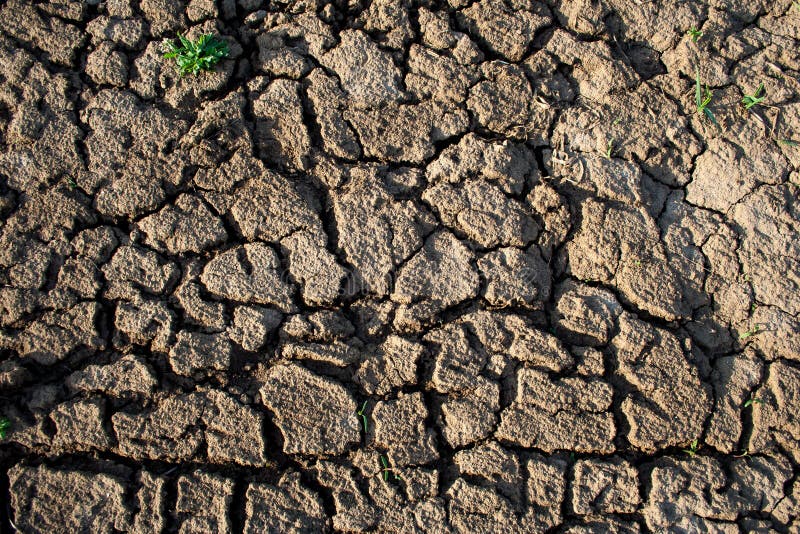 Land with Dry and Cracked Ground. Stock Photo - Image of rough, earth ...