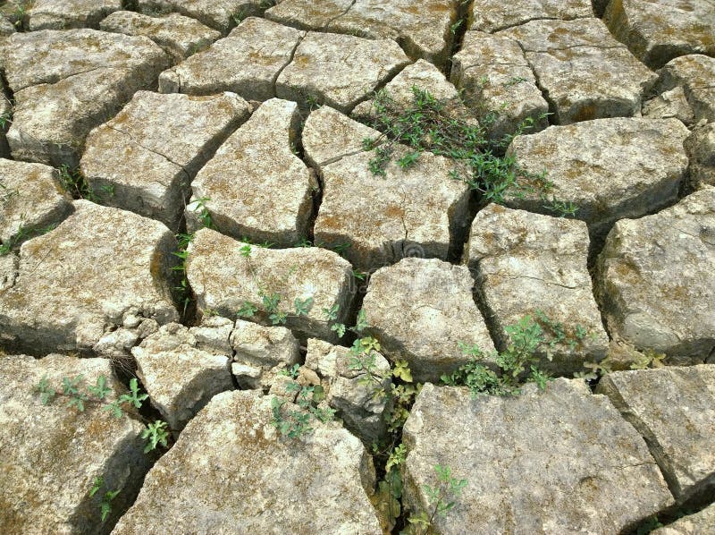 The Land with Dry and Cracked Ground Stock Photo - Image of cracks ...