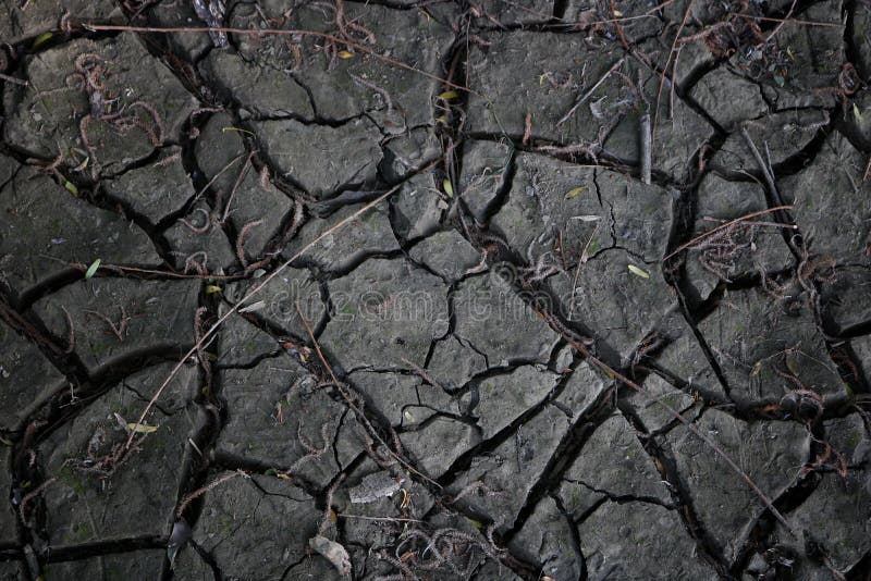 Land with Dry and Cracked Ground Stock Photo - Image of drought, ground ...