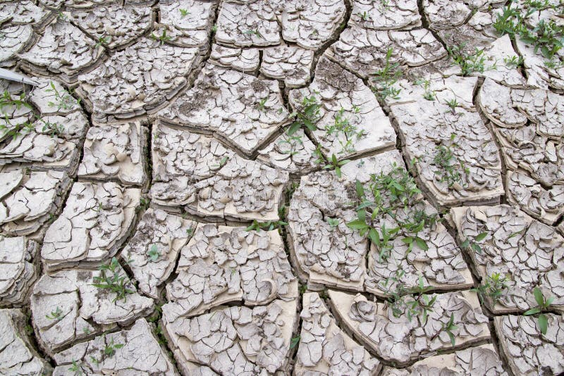 Land with Dry Ground. Disaster Stock Image - Image of damage, heat ...