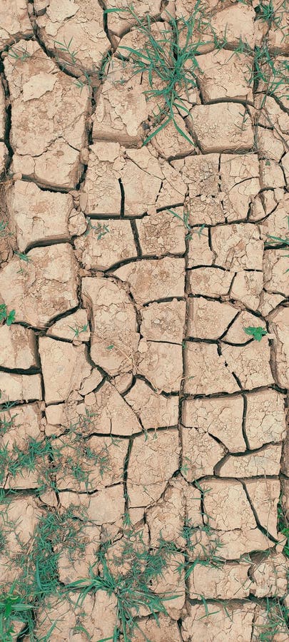 Land earth and gress stock image. Image of earth, brown - 276338641