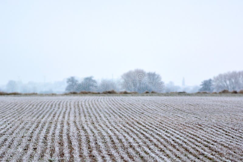 Land Field Covered in Frost in the Onset of Early Winter Stock Image ...