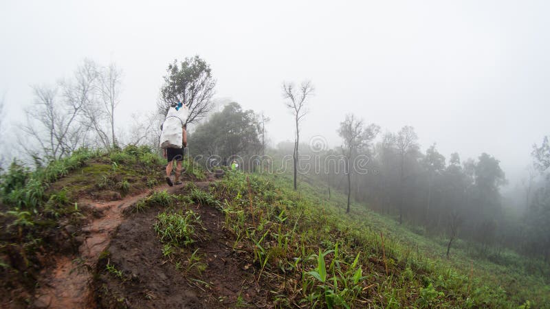 The land with fog editorial stock photo. Image of farm - 157891718