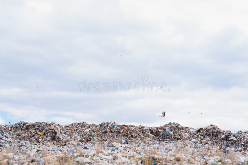 Land with Garbage, Garbage Dump Landscape of Ecological Damage ...