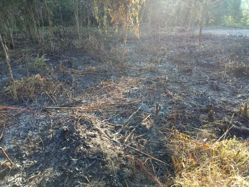 Land that has been burned stock image. Image of outdoor - 153466081