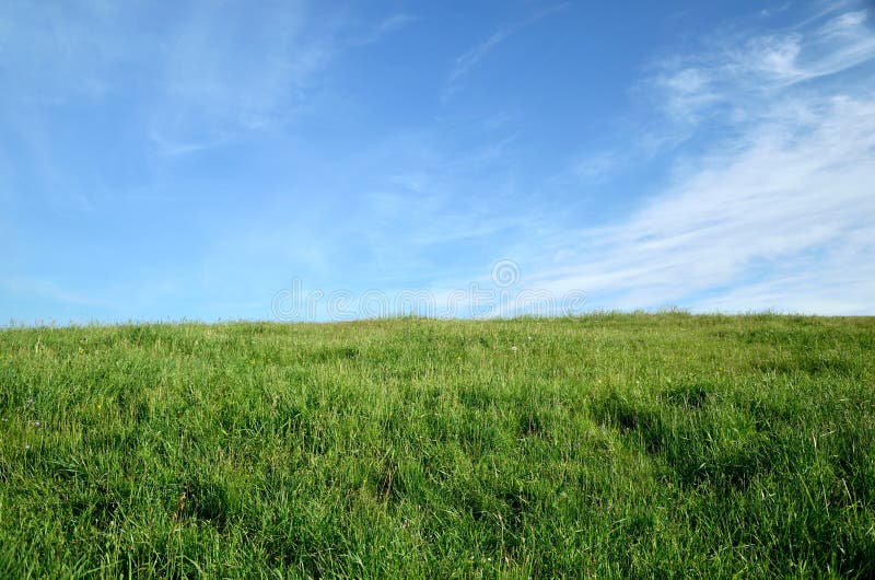 Land horizon stock photo. Image of country, horizon, sunlight - 57740932