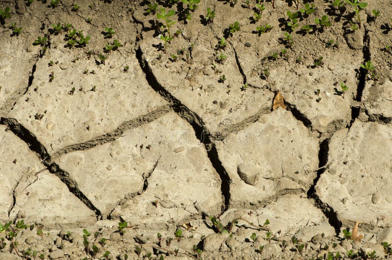 Dry parched earth stock image. Image of bleached, drought - 9630941