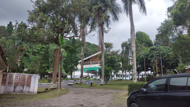 Land Parking Unkempt Garden Stock Image - Image of house, garden: 285003047