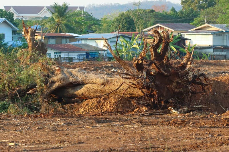 Land without People, Digging, Clearing Land, Open Space Stock Image ...