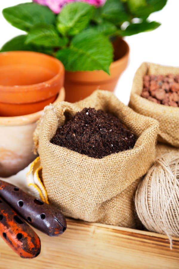 Land for planting stock image. Image of florist, springtime - 31726877