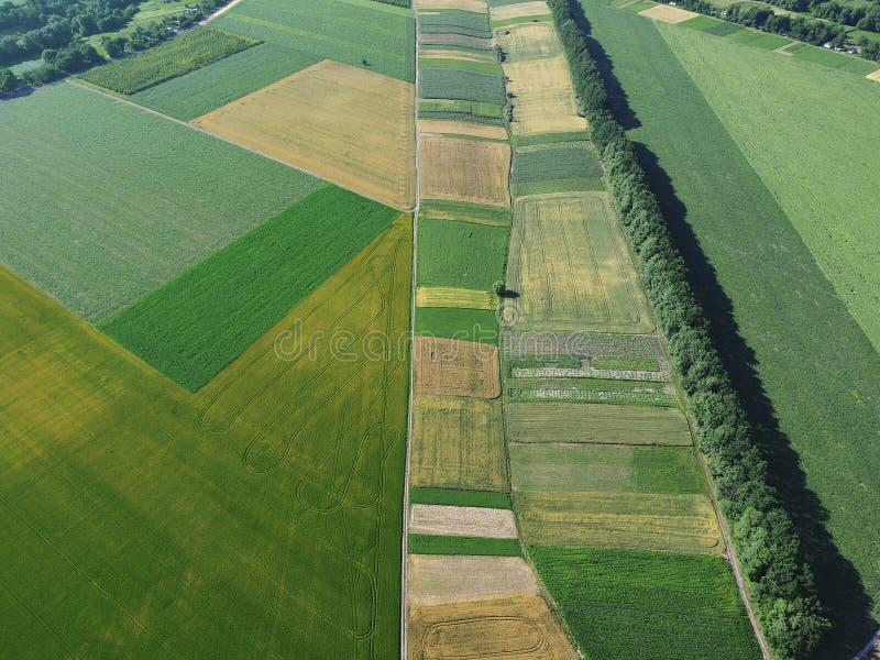 Land Plots with Different Crops, Top View Stock Image - Image of view ...