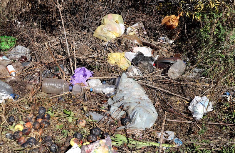 Land Pollution with Plastic Bags and Bottles. Plastic Garbage in Forest ...