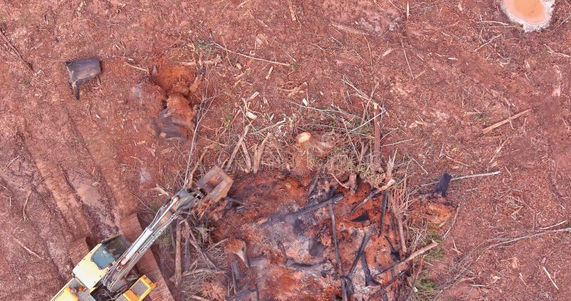 Burning Uprooted Trees during Land Preparation for Construction of a ...