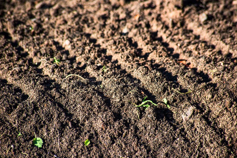Land Prepared and Ground for Planting Stock Image - Image of harrow ...