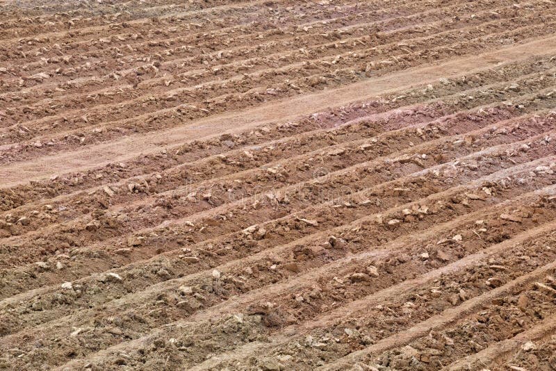 Land prepared for planting stock image. Image of rural - 251230907