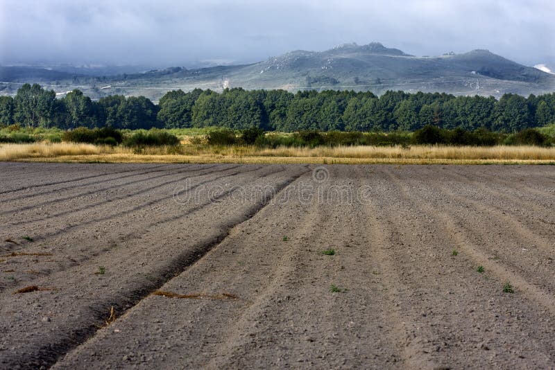 Land prepared for seeding stock image. Image of rural - 10736669