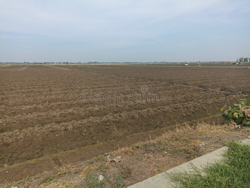 Land ready for planting stock photo. Image of planting - 233366102