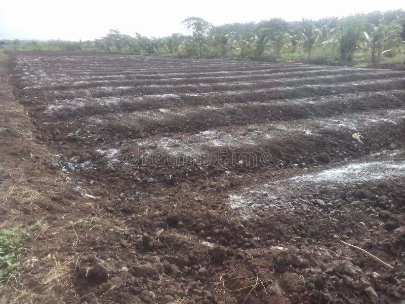 Limestone soil stock image. Image of ready, limestone - 323323207