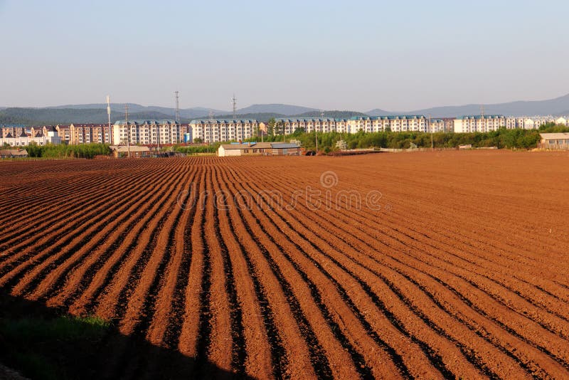 Land Ridge Vertical and Horizontal Stock Image - Image of duckweed ...
