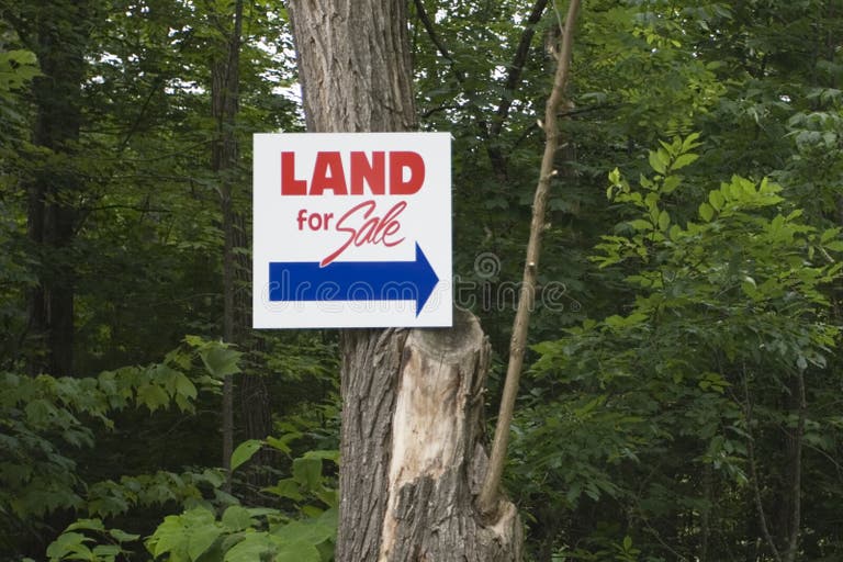 Land for Sale stock photo. Image of blue, real, realty - 5979538