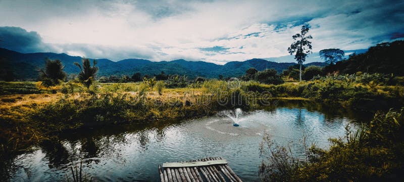 Land scape tree water sky stock photo. Image of tree - 254462886