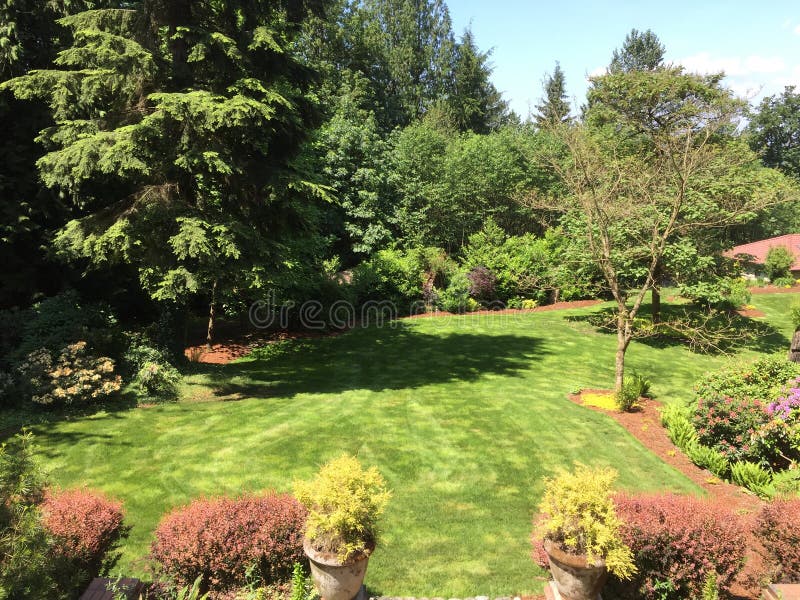 Land shaft stock image. Image of like, tree, nice, rexoolo - 55128909