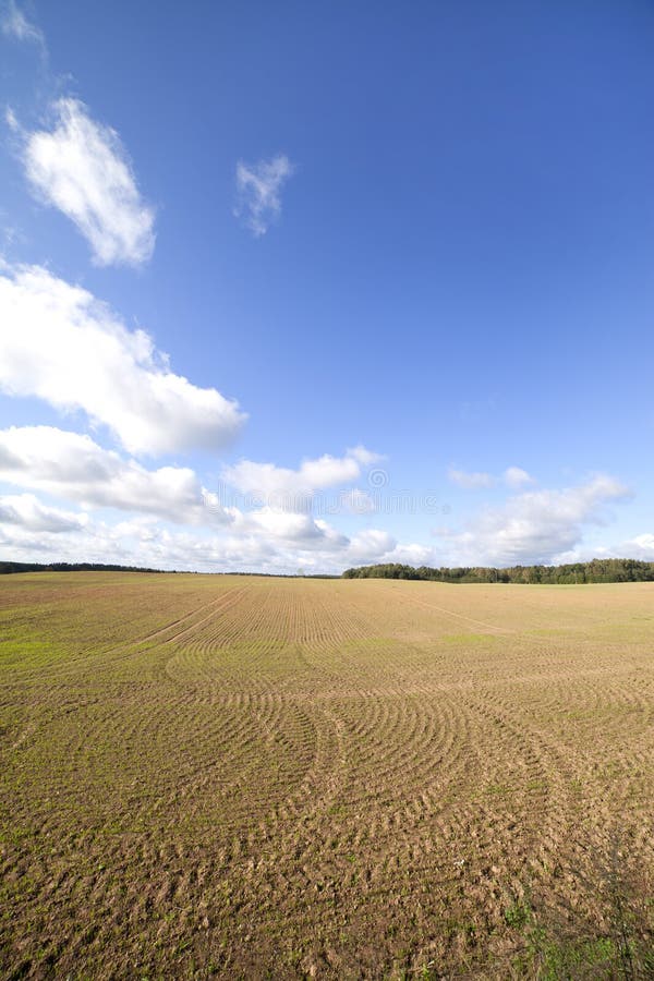 Land and sky. stock photo. Image of bright, grain, clear - 21377182