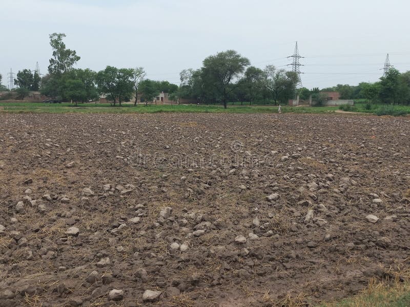 Land with Soil Preparation for Rice Field. Stock Image - Image of field ...