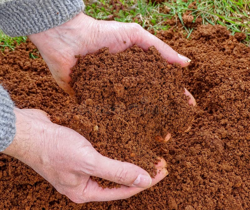 Land and soil stock image. Image of closeup, care, hands - 58803007
