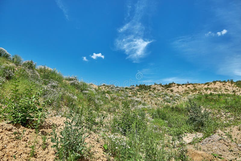 Land with Sparse Grass in Front of a Blue Sky Stock Image - Image of ...