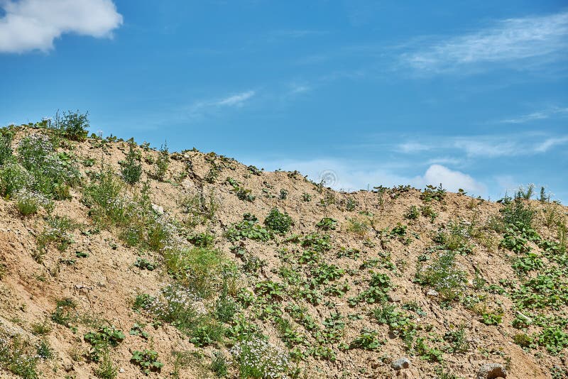 Land with Sparse Grass in Front of a Blue Sky Stock Image - Image of ...