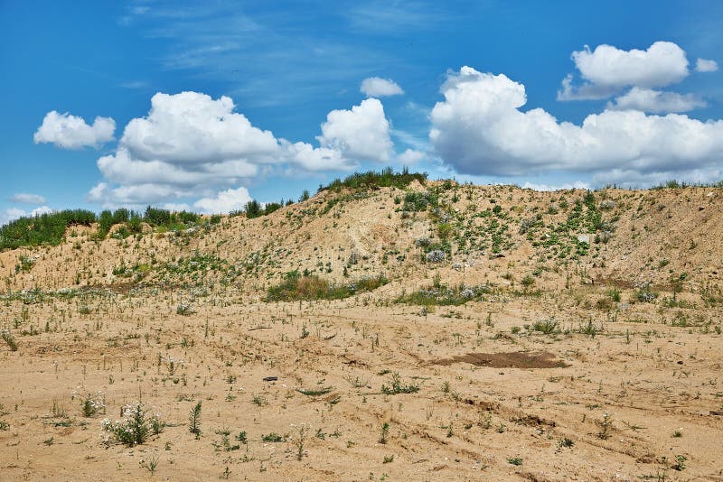 Land with Sparse Grass in Front of a Blue Sky Stock Photo - Image of ...