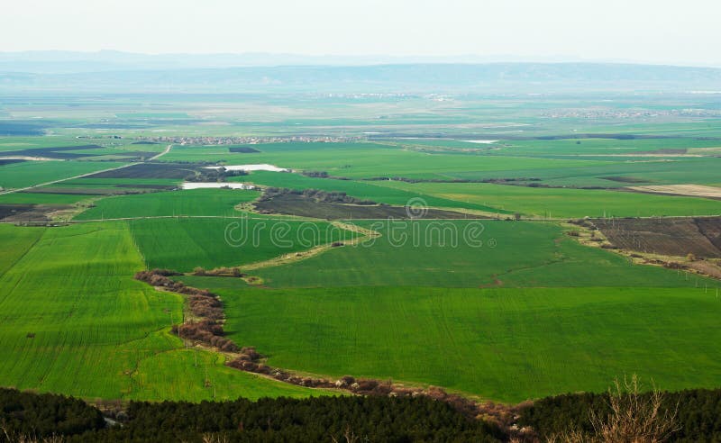 Land in spring stock image. Image of farming, wheat, spring - 18893209