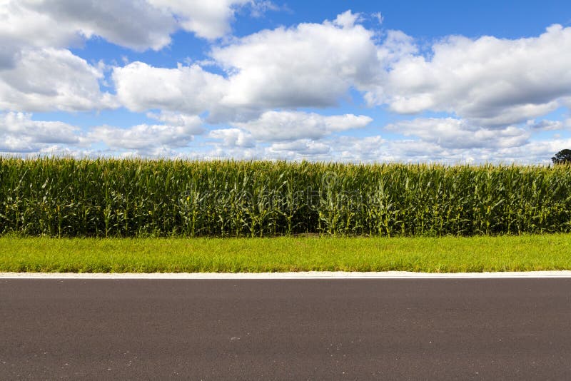 Seitenansicht über Landschafts-Straße Stockbild - Bild von dunkel ...