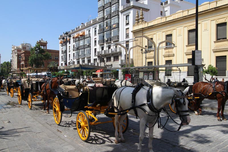 Land Vehicle, Carriage, Horse And Buggy, Vehicle Picture. Image: 134765693