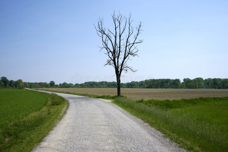 Land stock photo. Image of nature, trekking, plant, meadows - 217098184