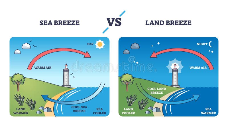 Land Vs Sea Breeze Shows Airflow Patterns, Temperature Differences, and ...