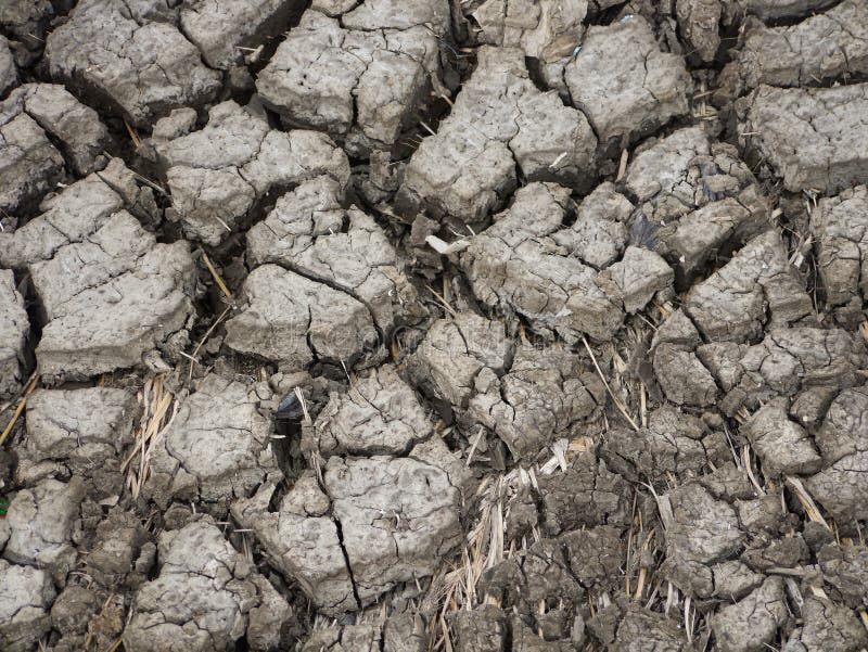 Land waterless stock photo. Image of land, arid, sand - 55518106