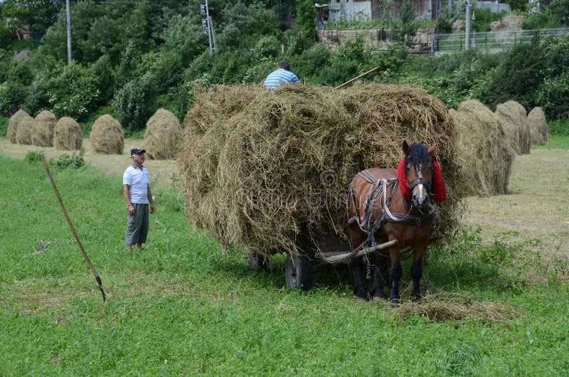 Land work editorial image. Image of haycock, corner, hotel - 25379575