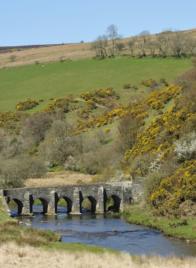 Landacre Bridge, River Barle Stock Photo - Image of barle, arch: 41016840