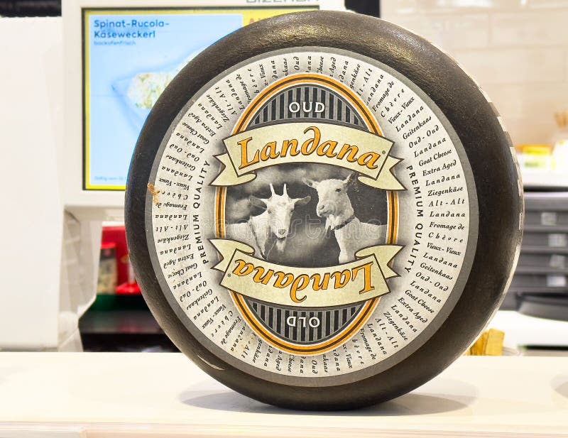 Landana Gouda Cheese Wheel in Cheese Shop Display Editorial Stock Photo ...