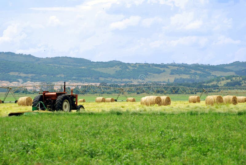Landbouw Landschap stock foto. Image of weide, cultiveer - 8955162