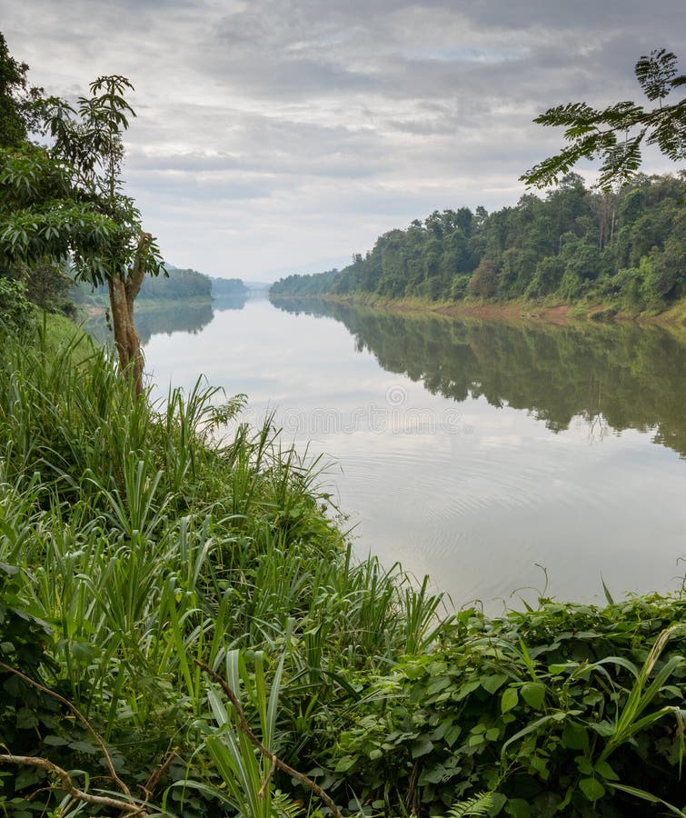 Landcape Image of the Periyar River in Kerala, India Stock Photo ...