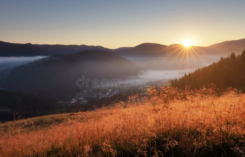 Meadow and Forest at Sunset Stock Photo - Image of tree, field: 80856334